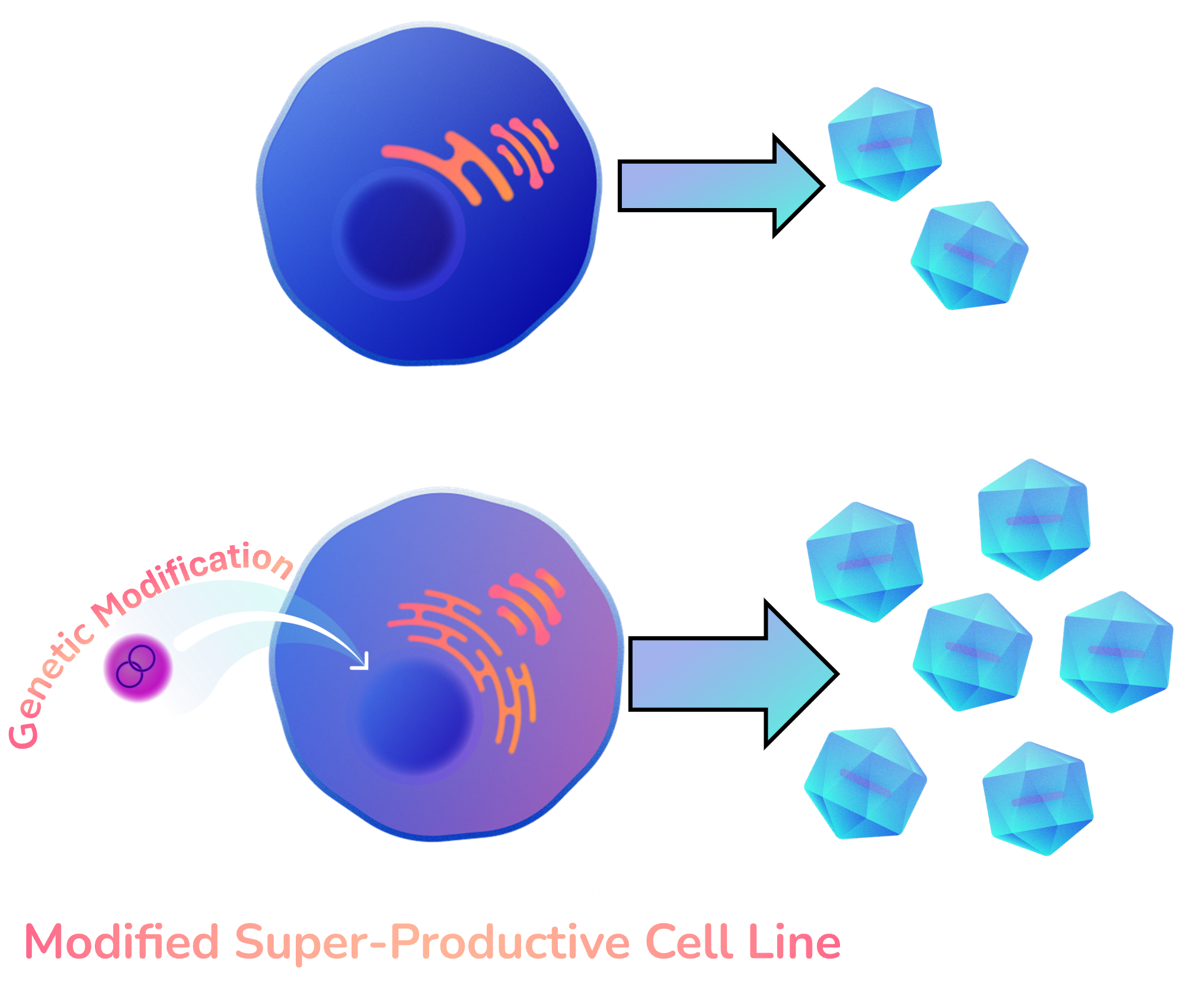ExtraCell Biotechnologies – A Cell Engineering Company